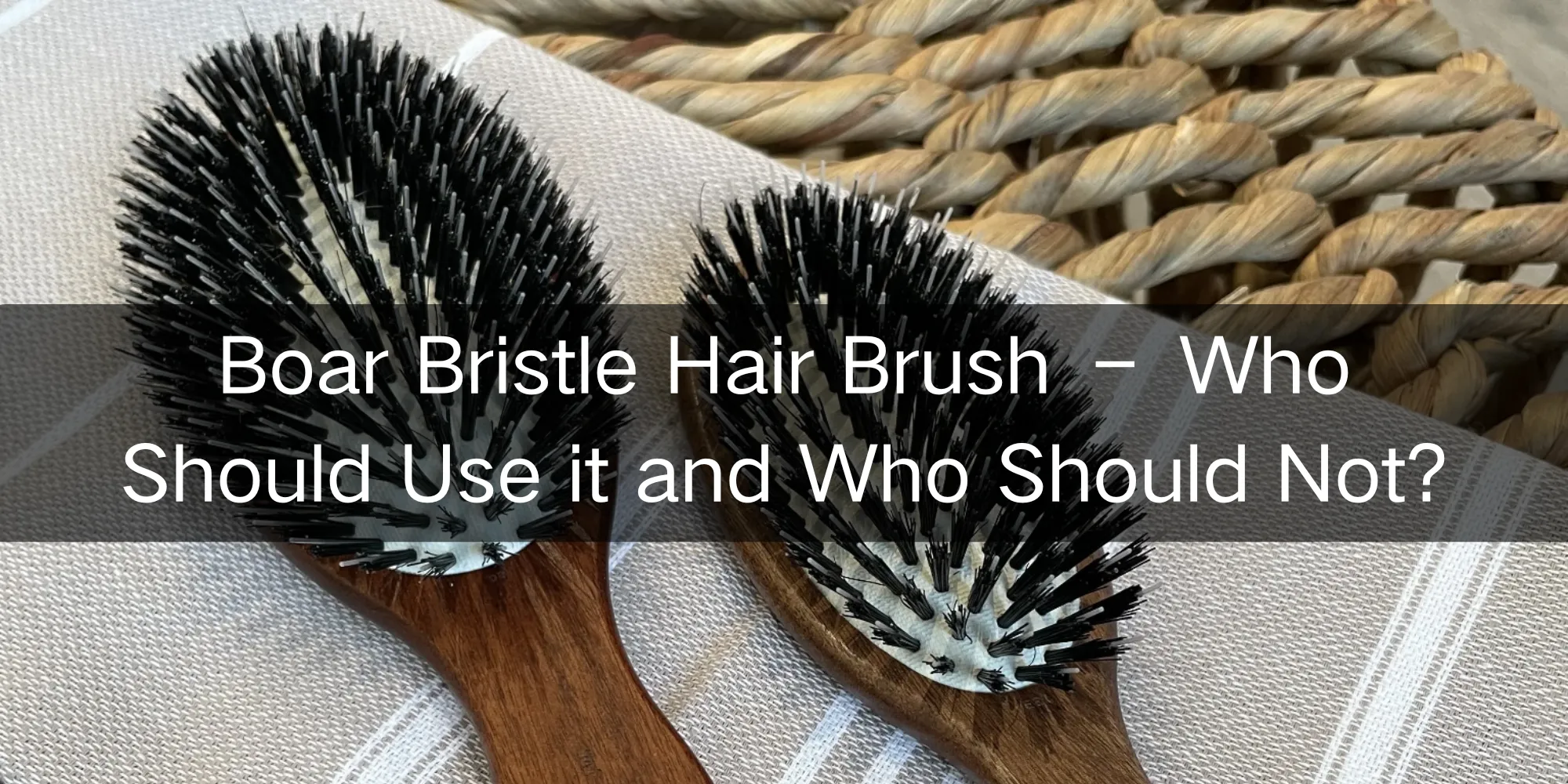 Who Should Use a Boar Bristle Brush? – The Complete Guide